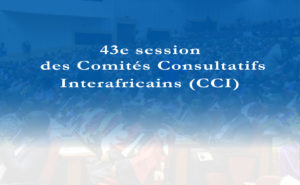 Résultats de la 43e session des Comités Consultatifs Interafricains (CCI) - CAMES